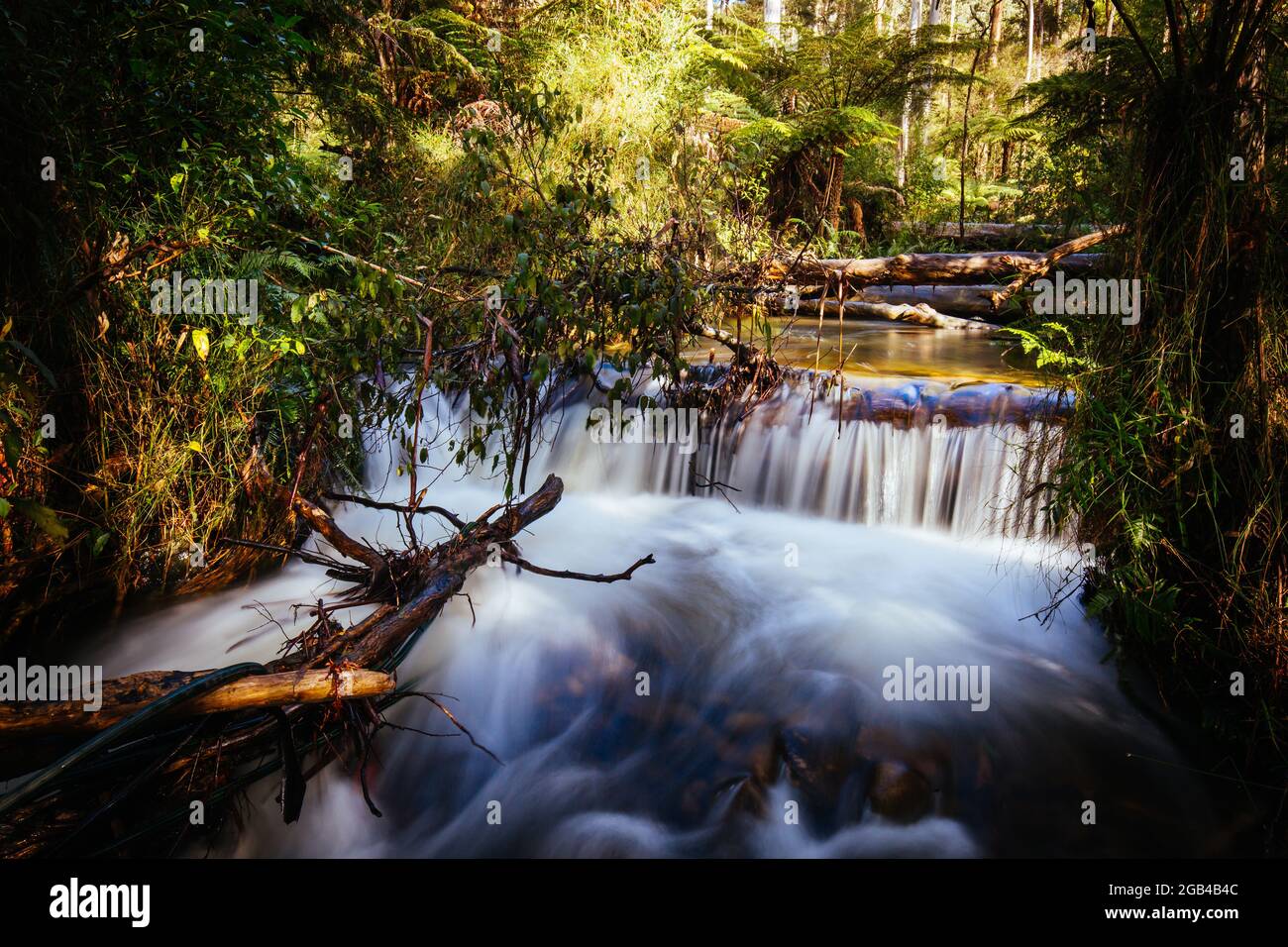 The tranquil Cement Creek near the iconic Redwood Forest in Warburton ...