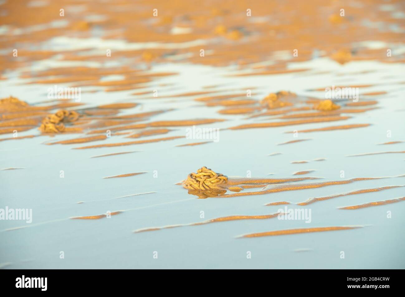 Texture of glitter water and soft waves. sparkling in water ...