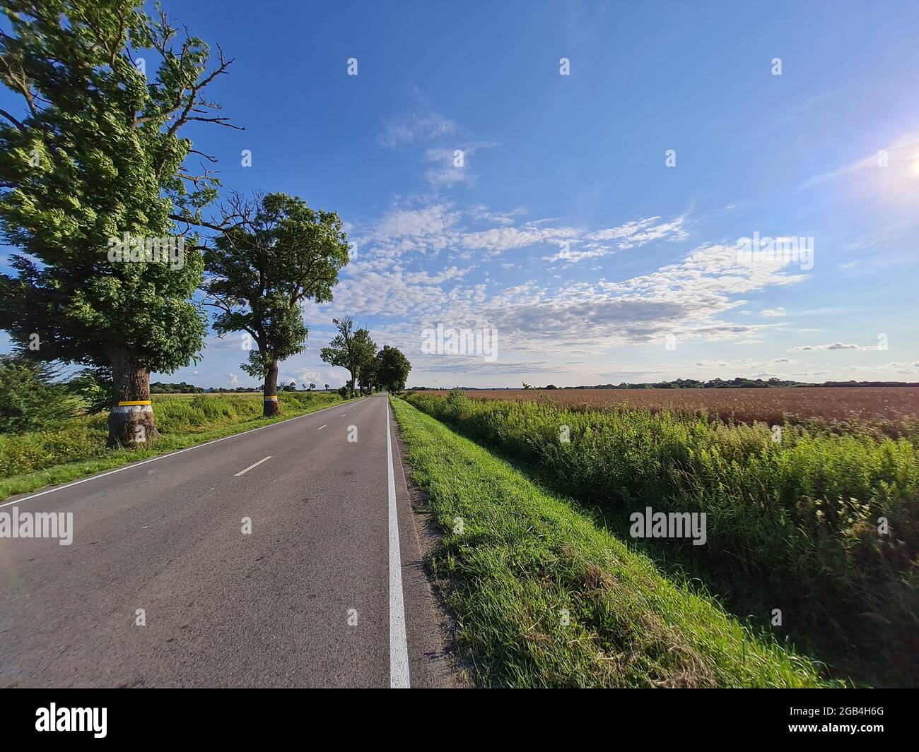 empty country asphalt road with trees under clear sky Stock Photo - Alamy