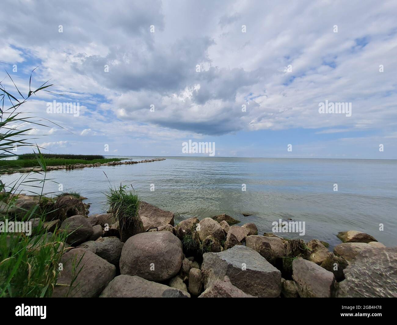 the coast of the Curonian lagoon with tall green reeds and a stone ...