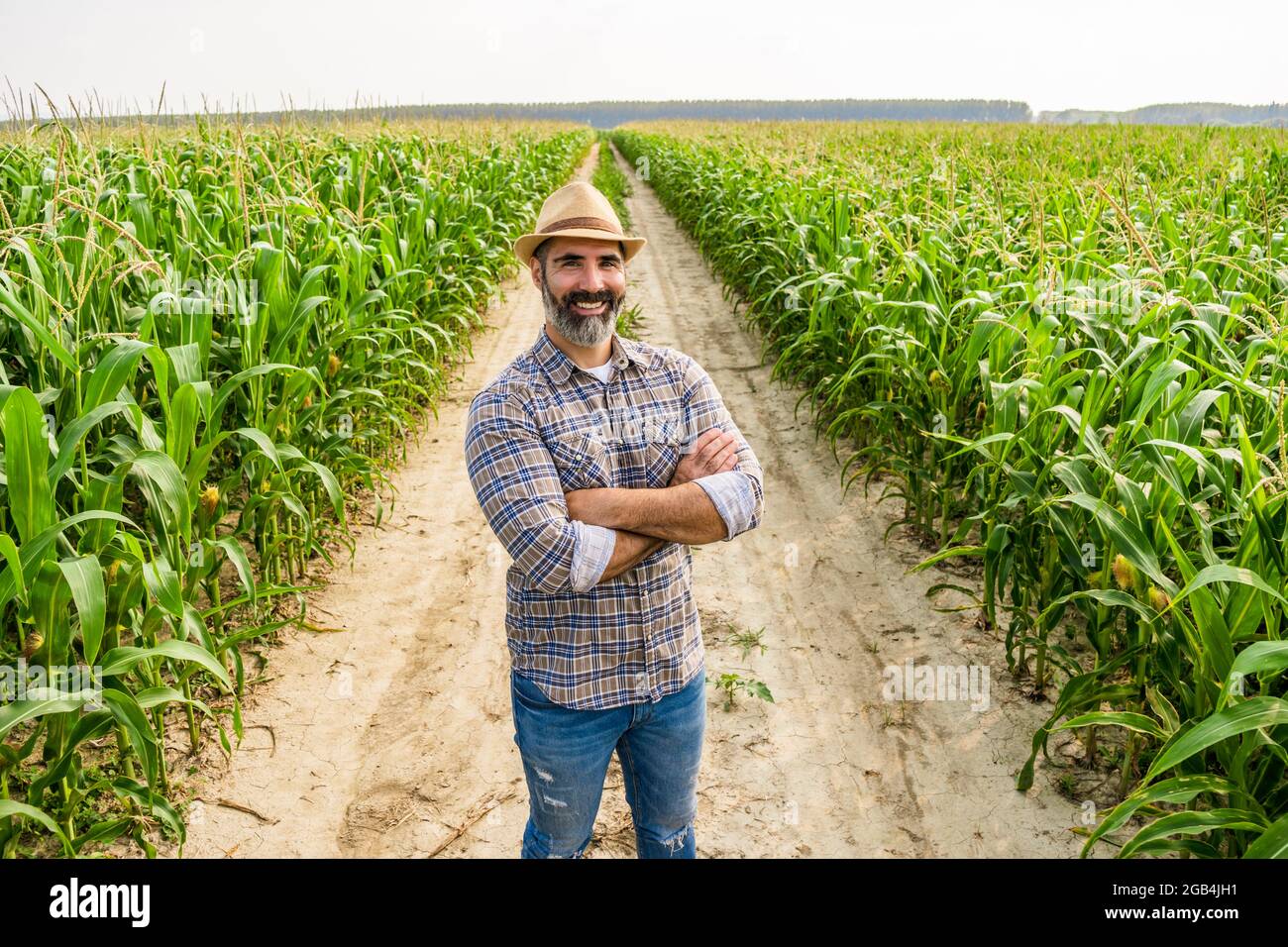Proud farmer is standing in his growing corn field. He is satisfied ...
