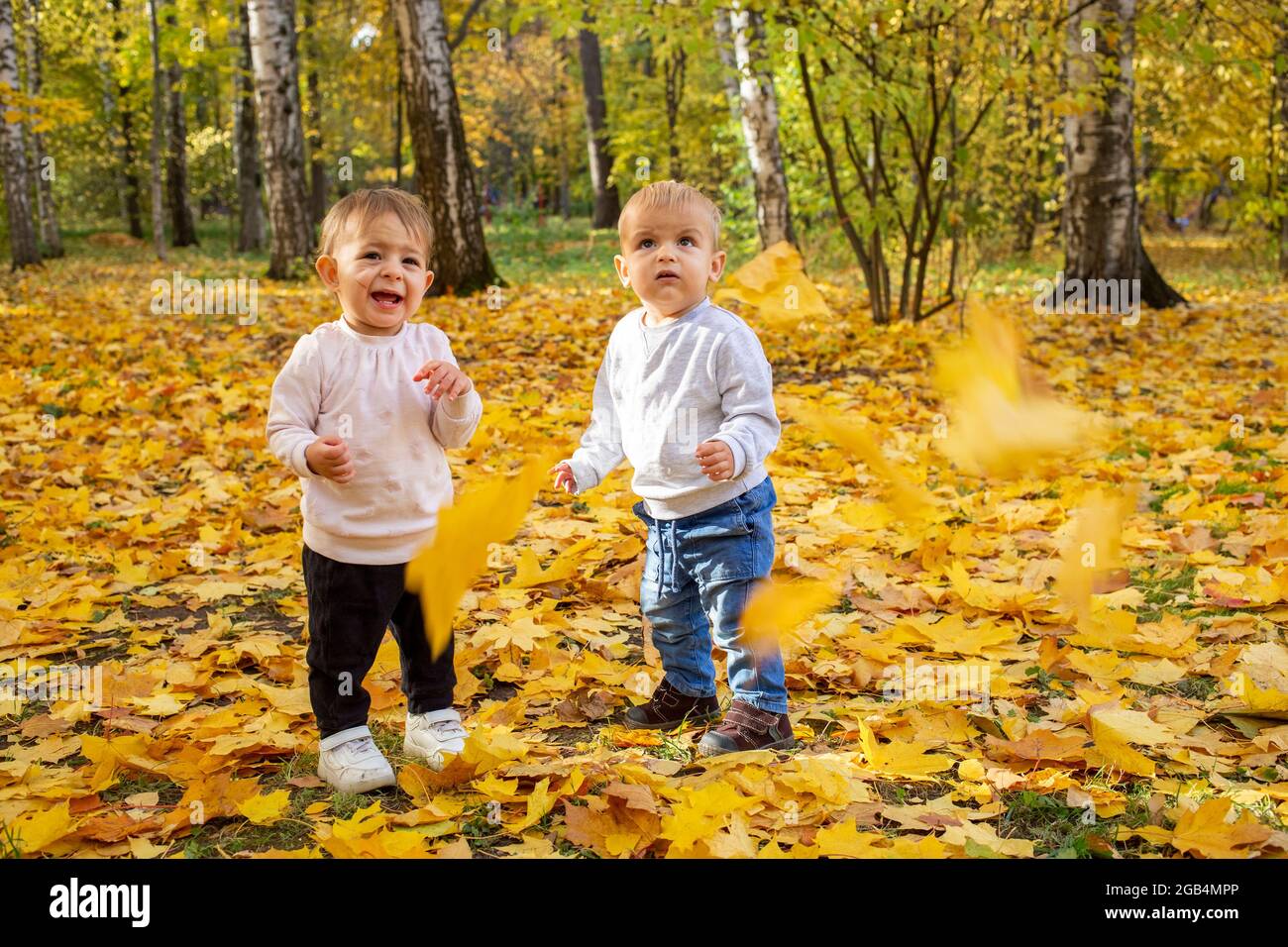 two little toddlers laugh under the falling autumn leaves. adorable ...