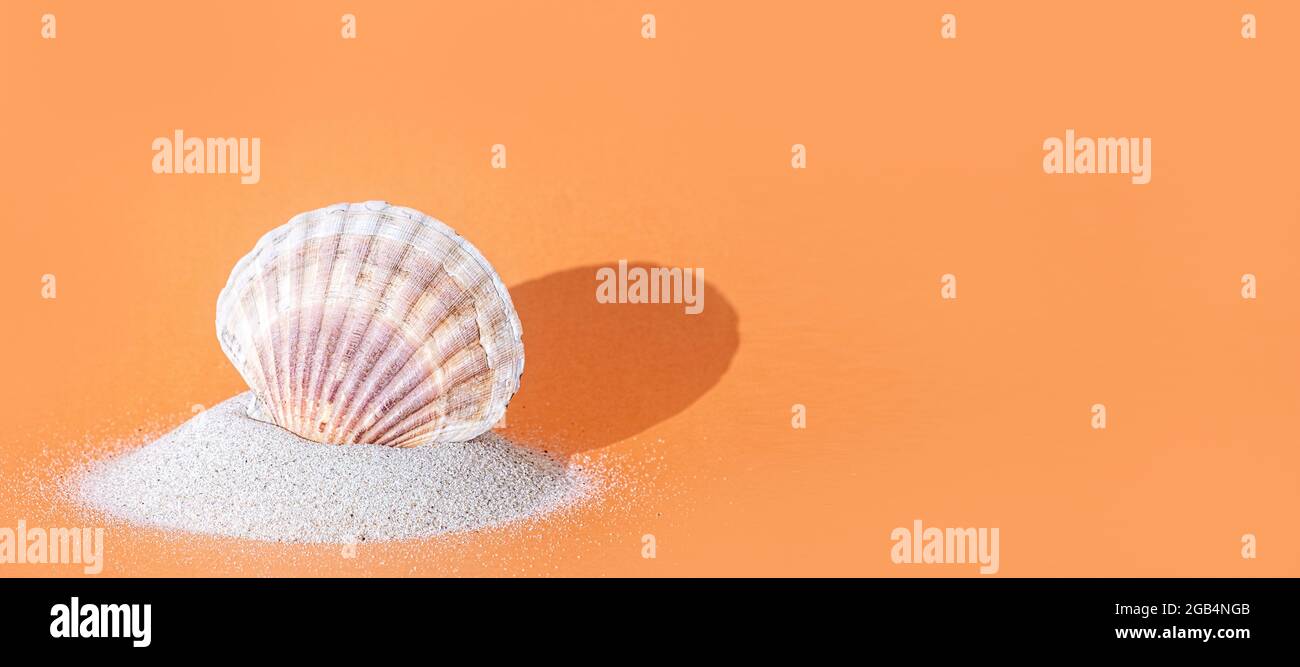 Single seashell on hip of sand with shadow on bright orange background ...