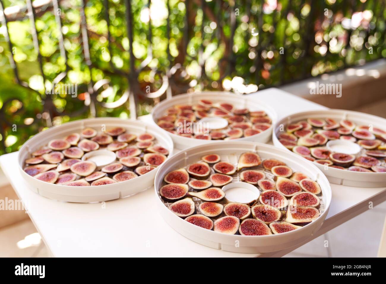 Fruit drying process on white dehydrator plates on balcony Stock Photo ...