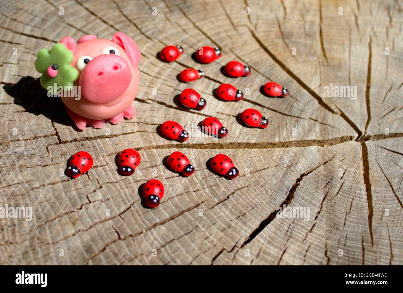 sweet pig and ladybugs on wooden ground Stock Photo - Alamy