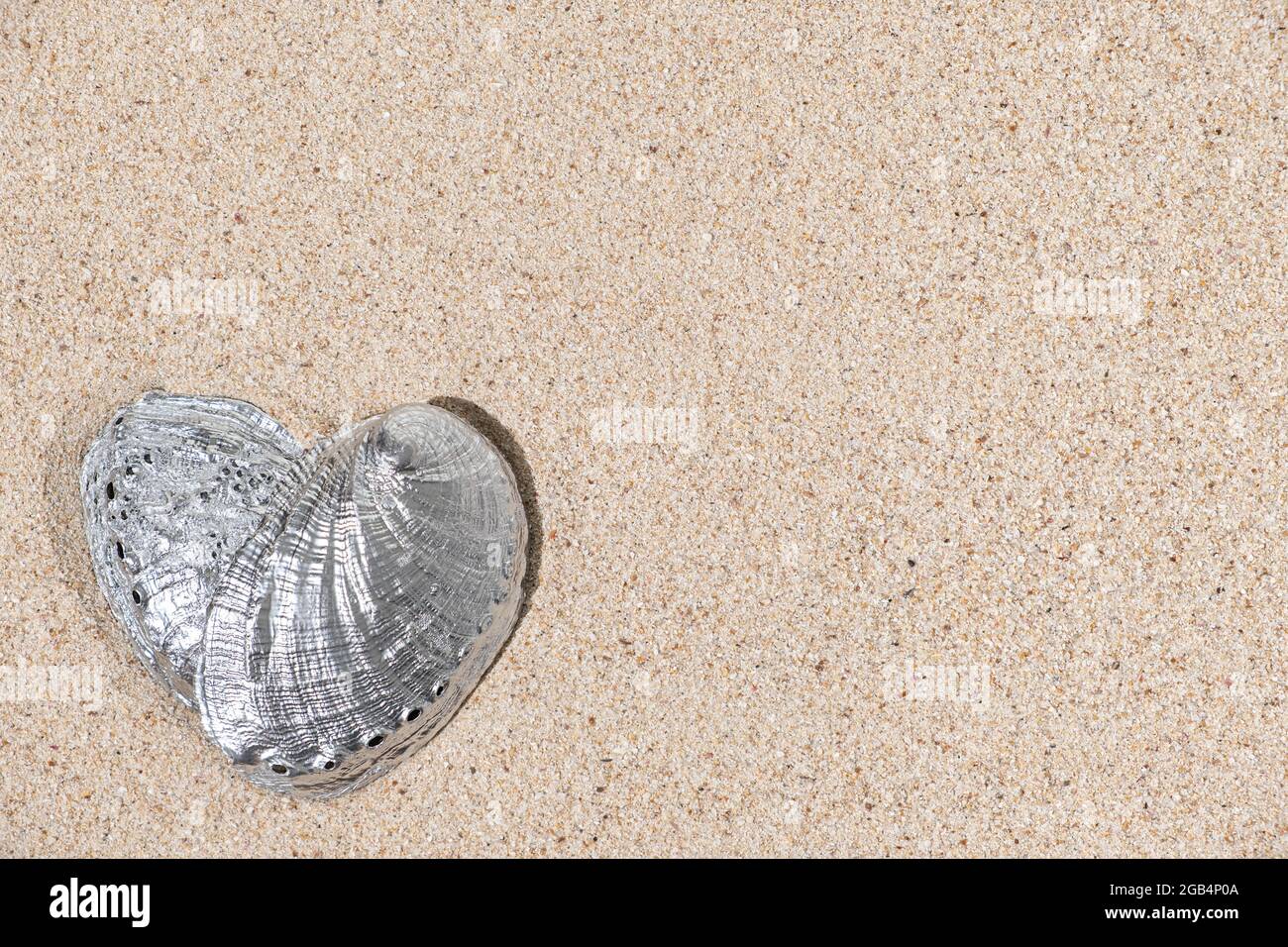 Top view of heart shape silver color seashell on sand background with ...