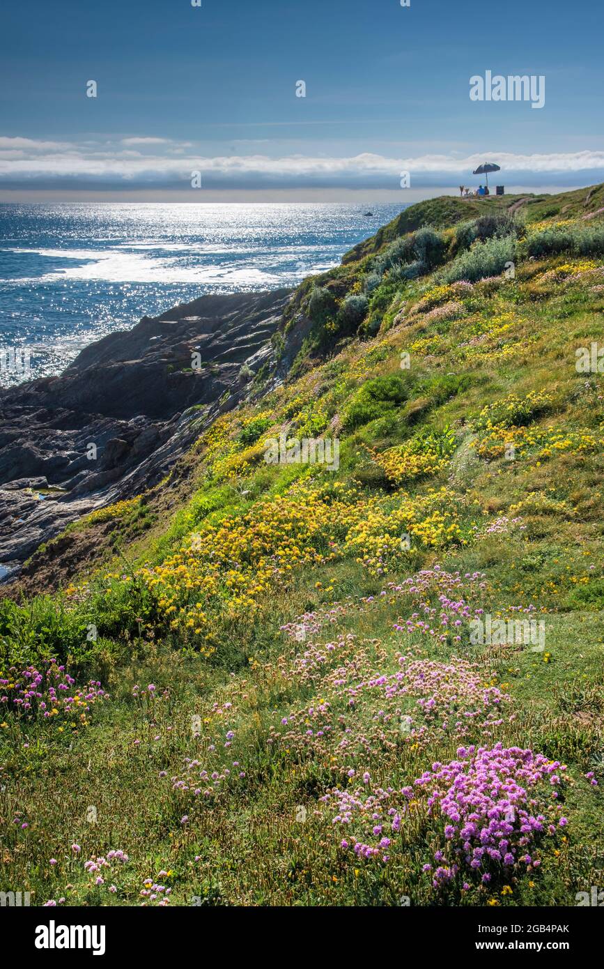 Evening light over Towan Head in Newquay in Cornwall Stock Photo - Alamy