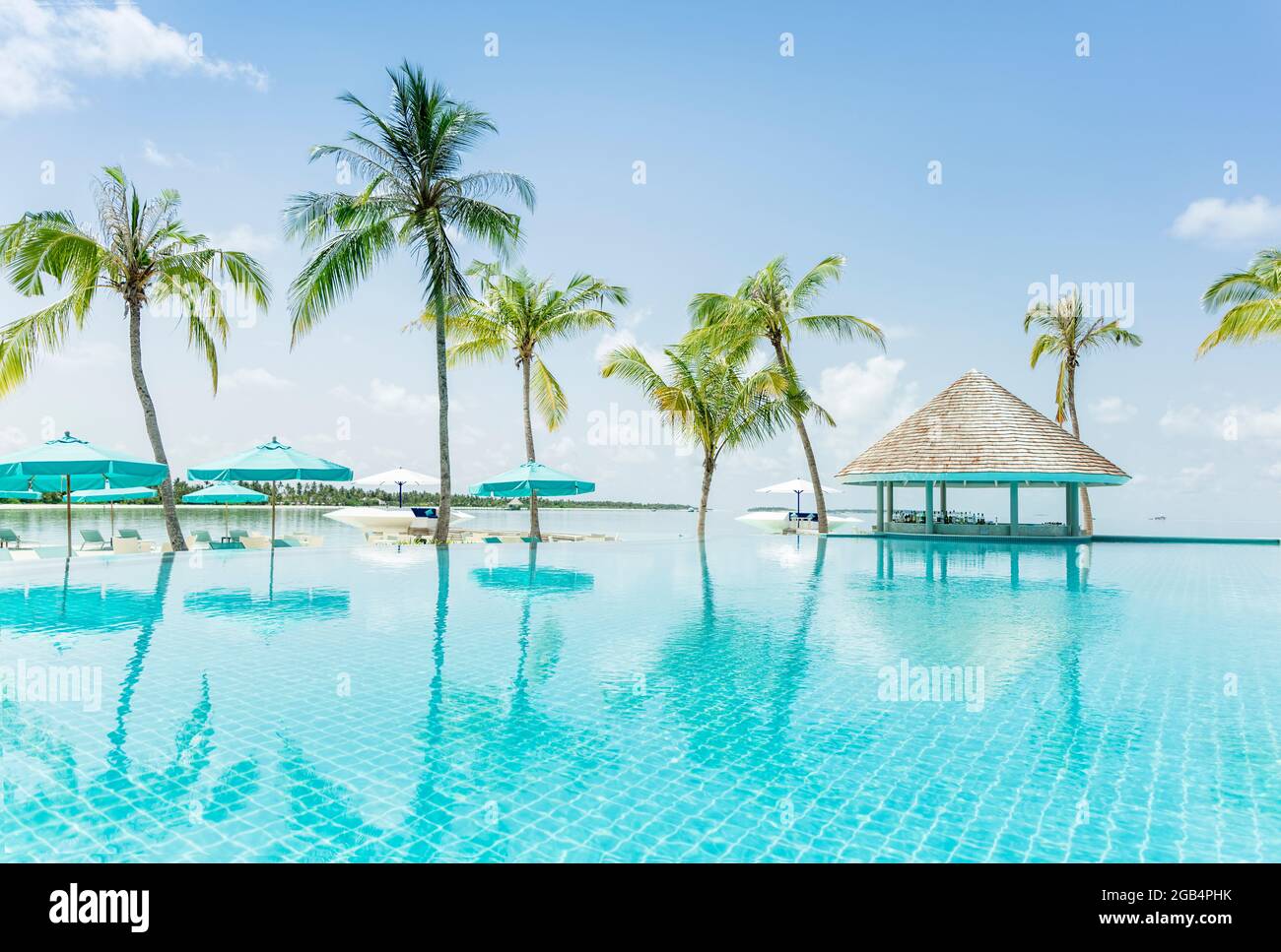 Luxury Tropical Swimming Pool with palm trees and reflection Stock ...