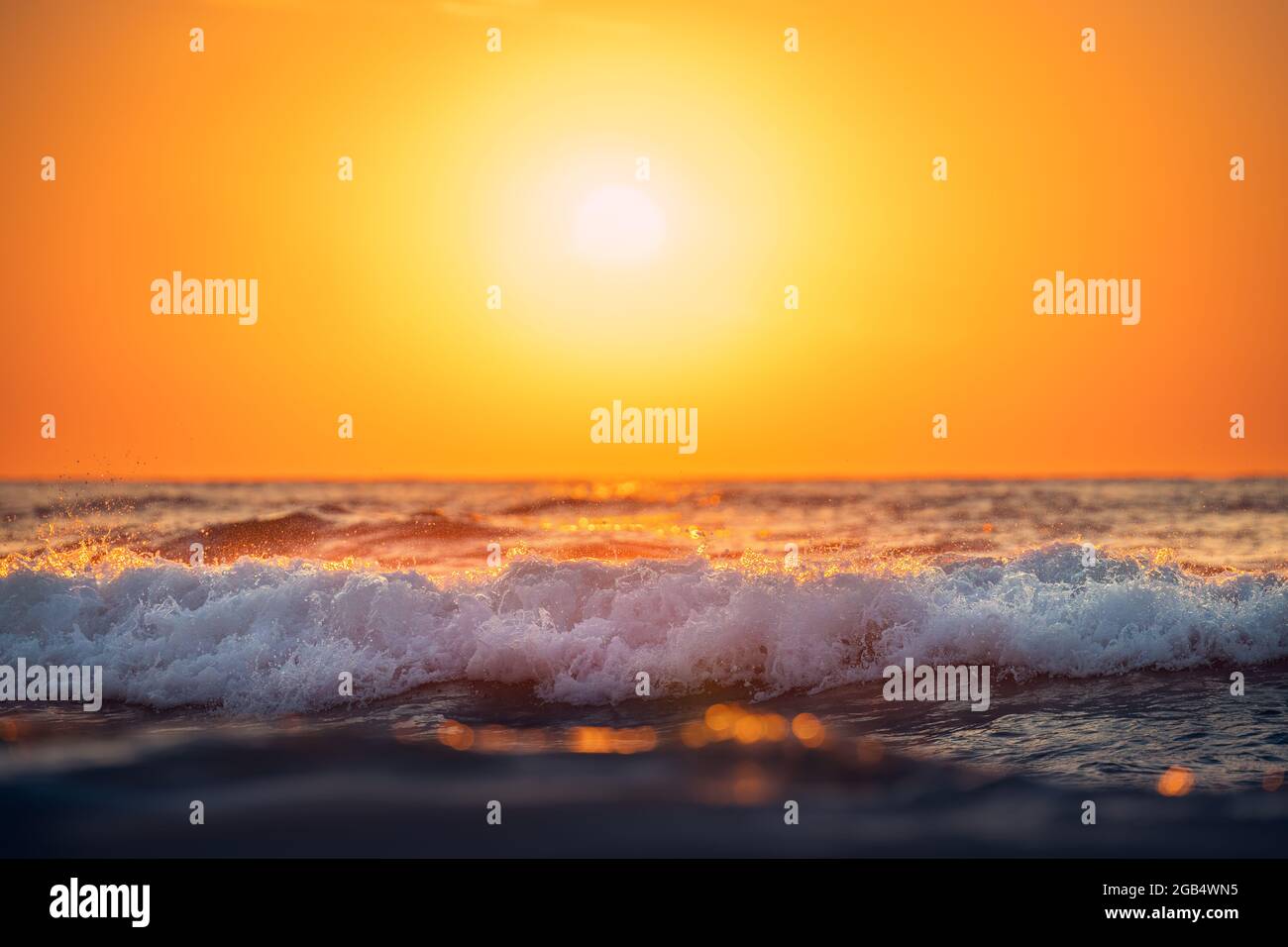 Golden sun horizon close up hi-res stock photography and images - Alamy