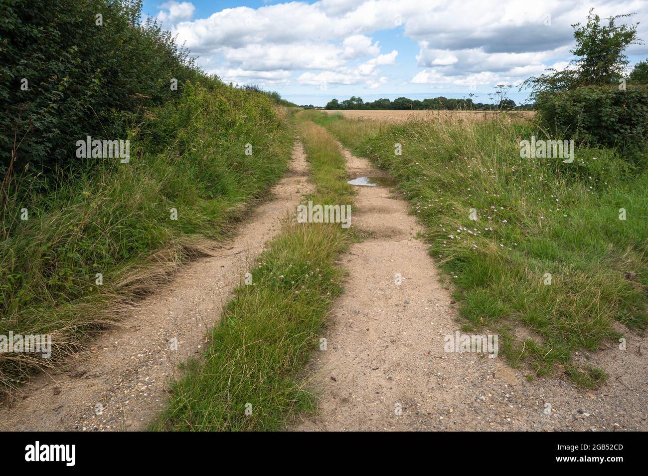 A farmers double track leading to the field in mid norfolk Stock Photo ...