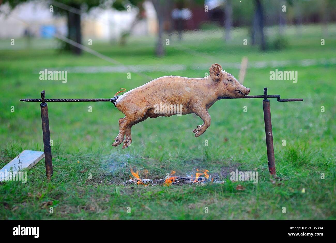 Roast pork skewer on the spit, under fire set in the park Stock Photo ...