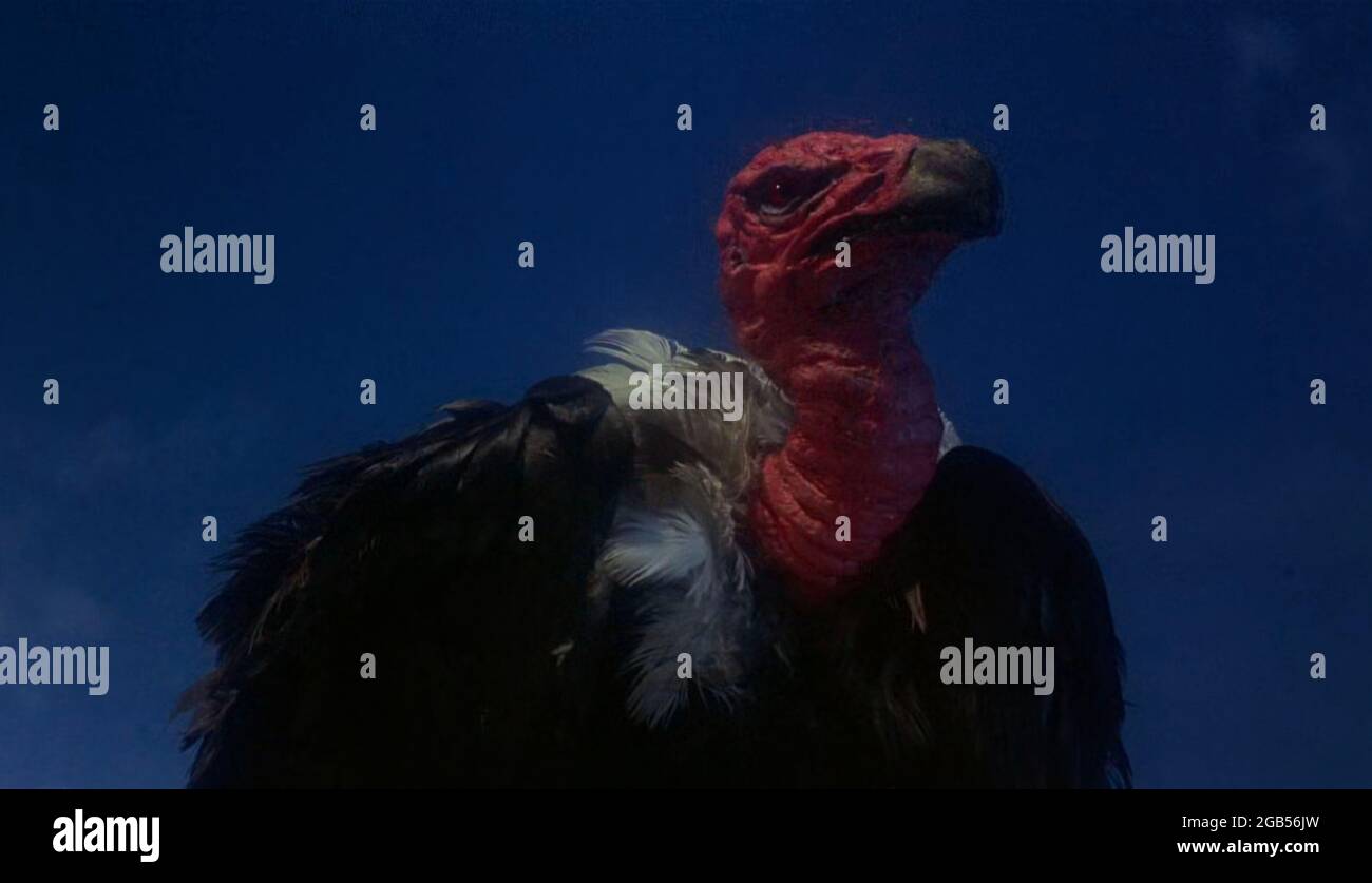 Los Angeles.CA.USA. A scene in (C) MGM/United Artists film, Clash of ...