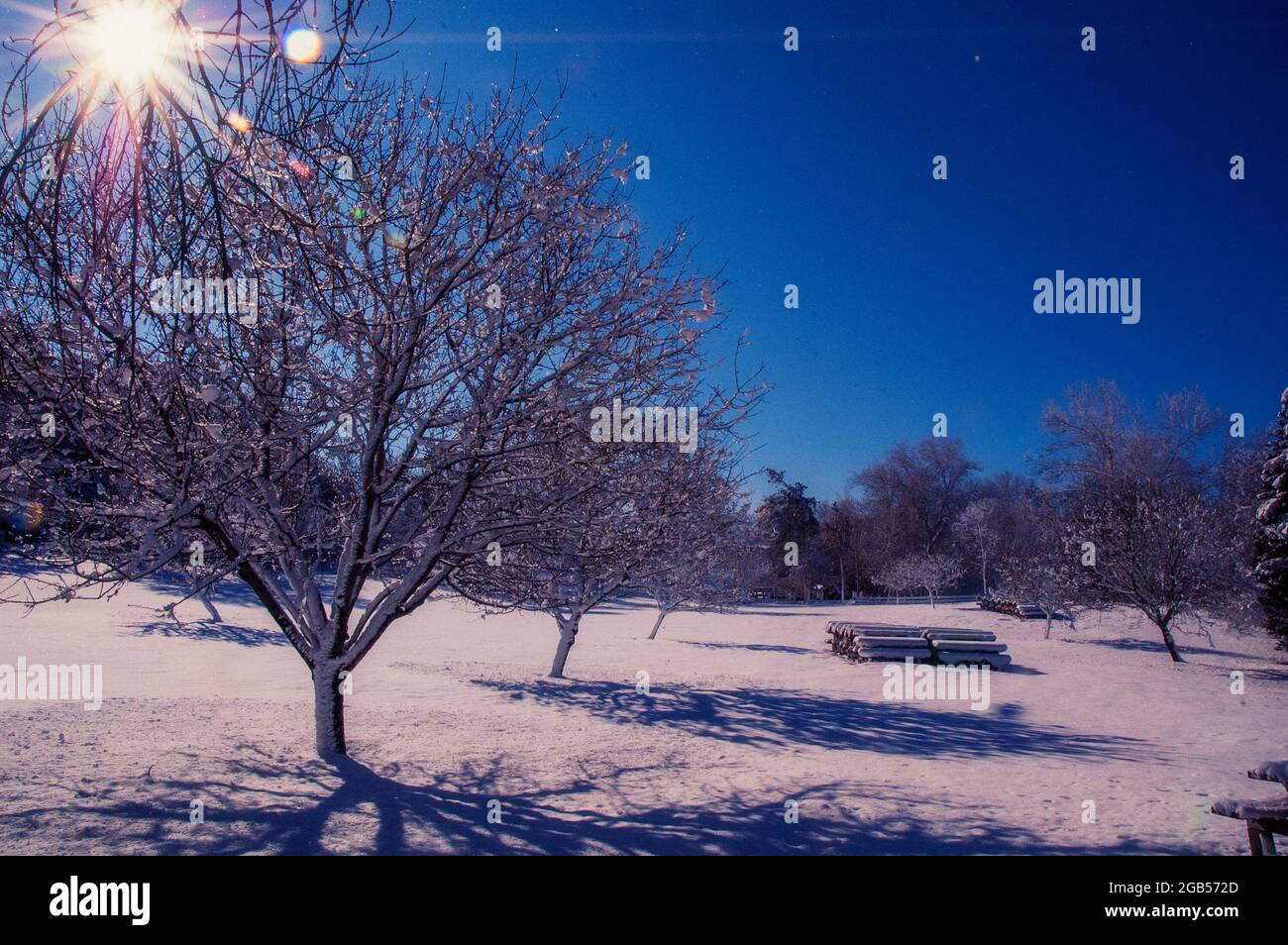Ice and snow create peaceful surroundings Stock Photo - Alamy