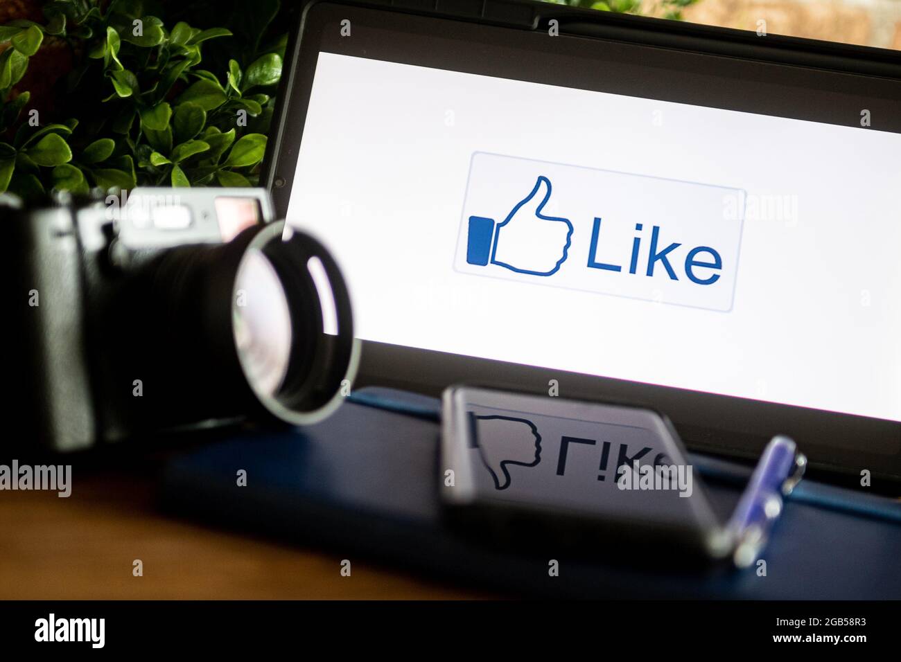 In this photo illustration, a Like Button logo seen displayed on a ...