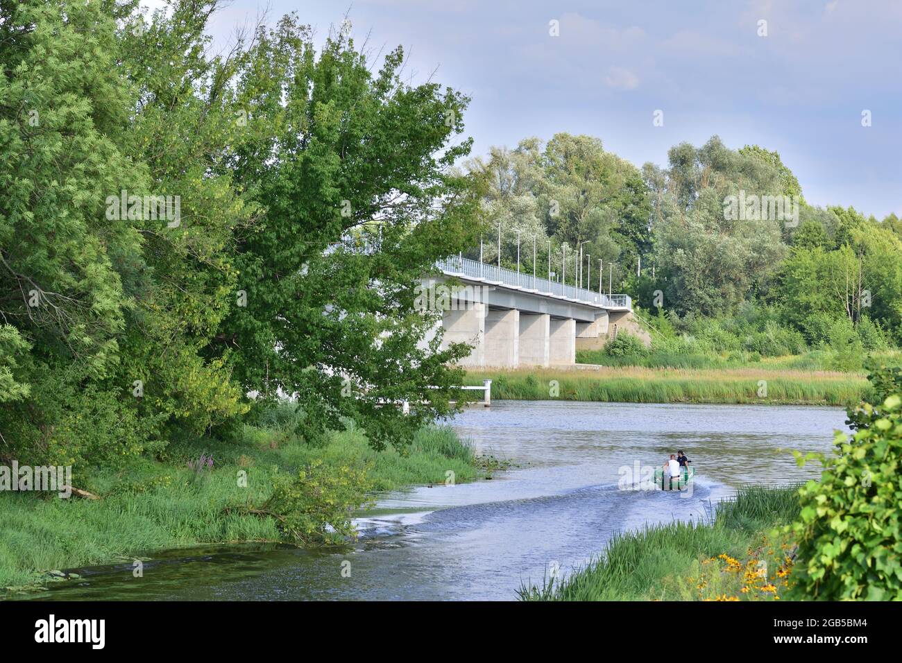 Hanging between trees hi-res stock photography and images - Alamy