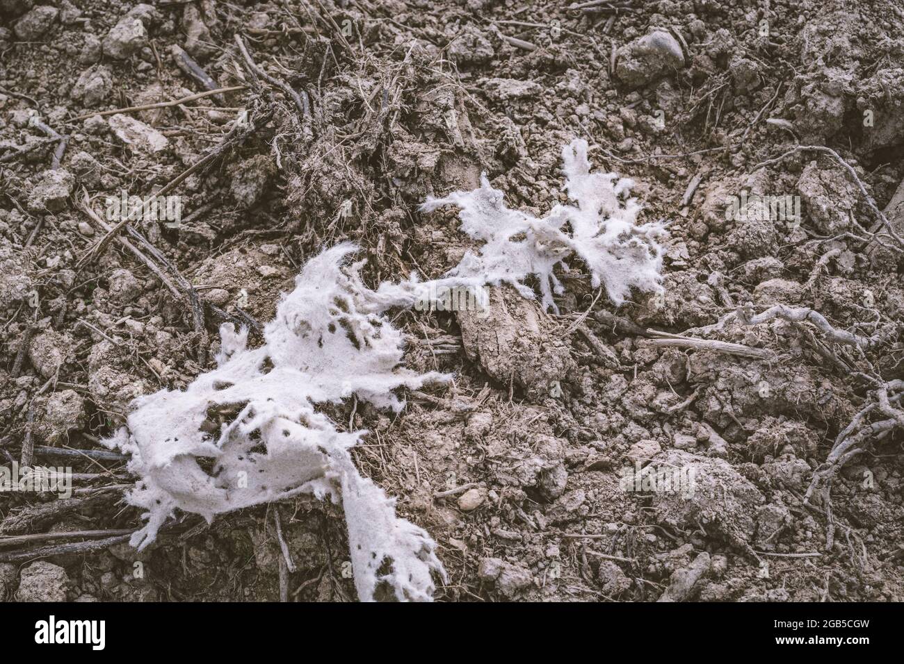 Raggedy clothes hi-res stock photography and images - Alamy