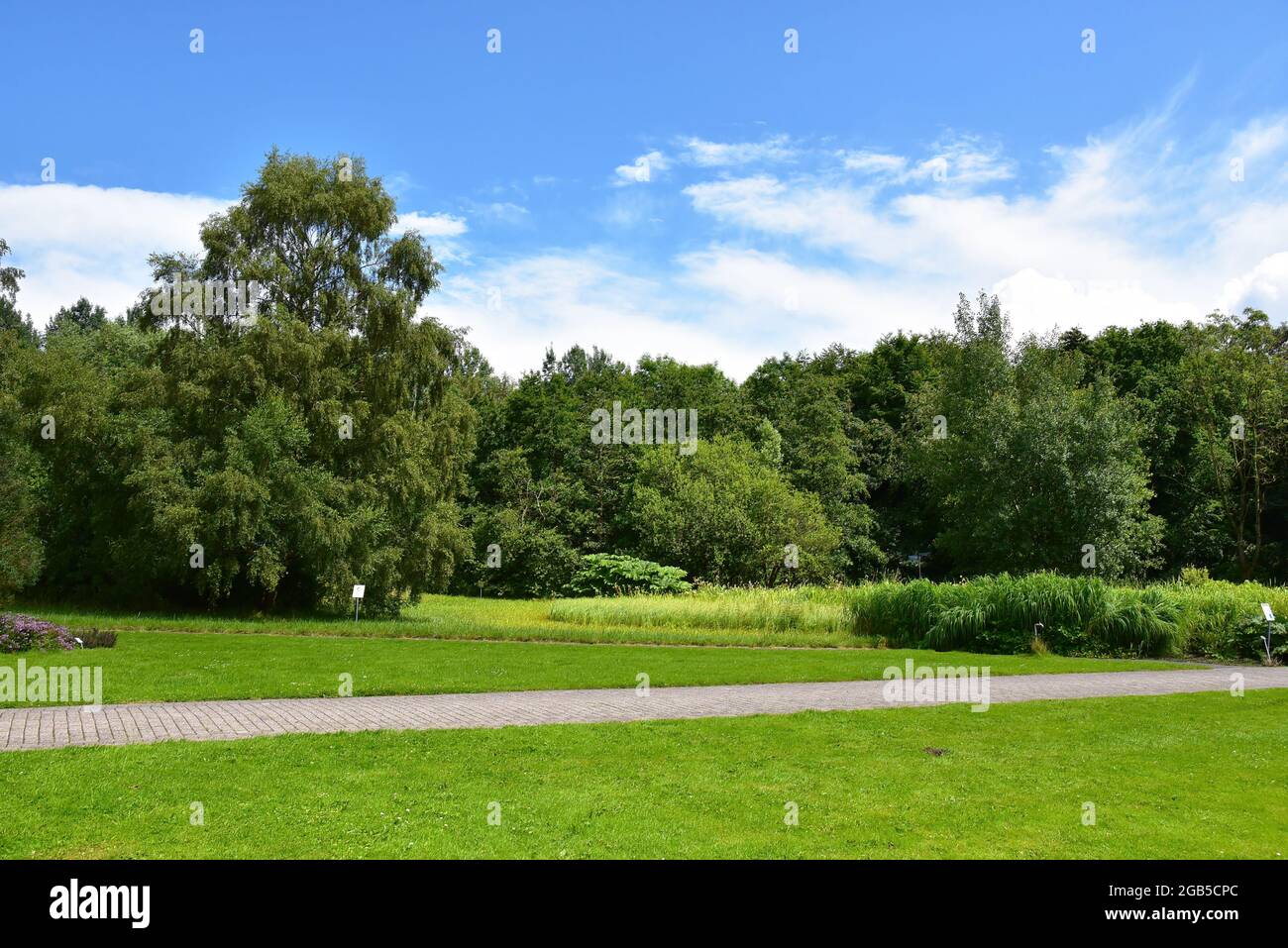 Beautiful public park in Botanic Garden in Kiel town consists numerous ...
