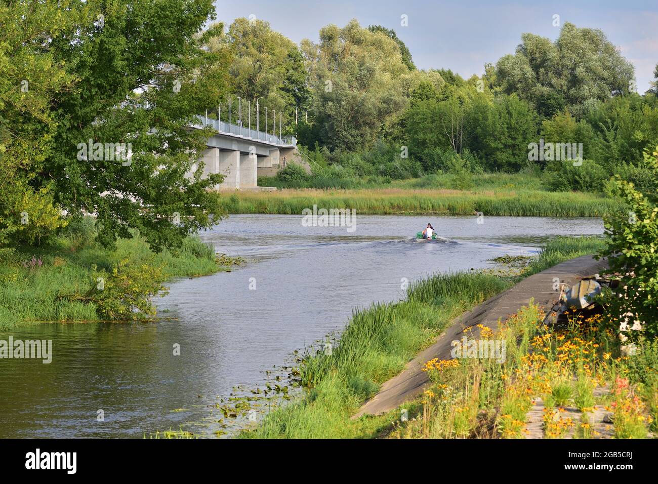 Bridge among trees hi-res stock photography and images - Alamy