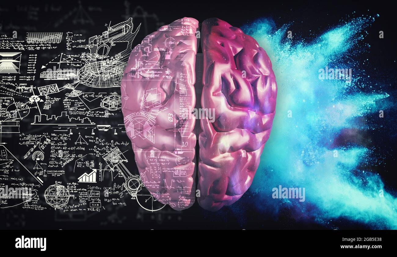 Left And Right Brain Wallpaper