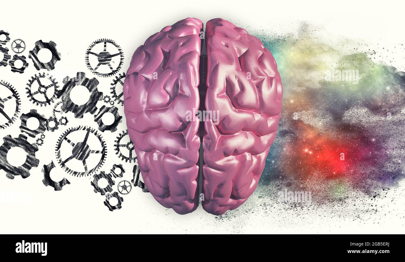 Right cerebral hemisphere hi-res stock photography and images - Alamy