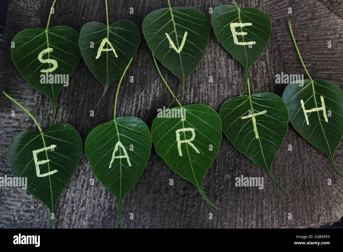 World environment day. World Earth day concept. Handprint as Green leaf ...