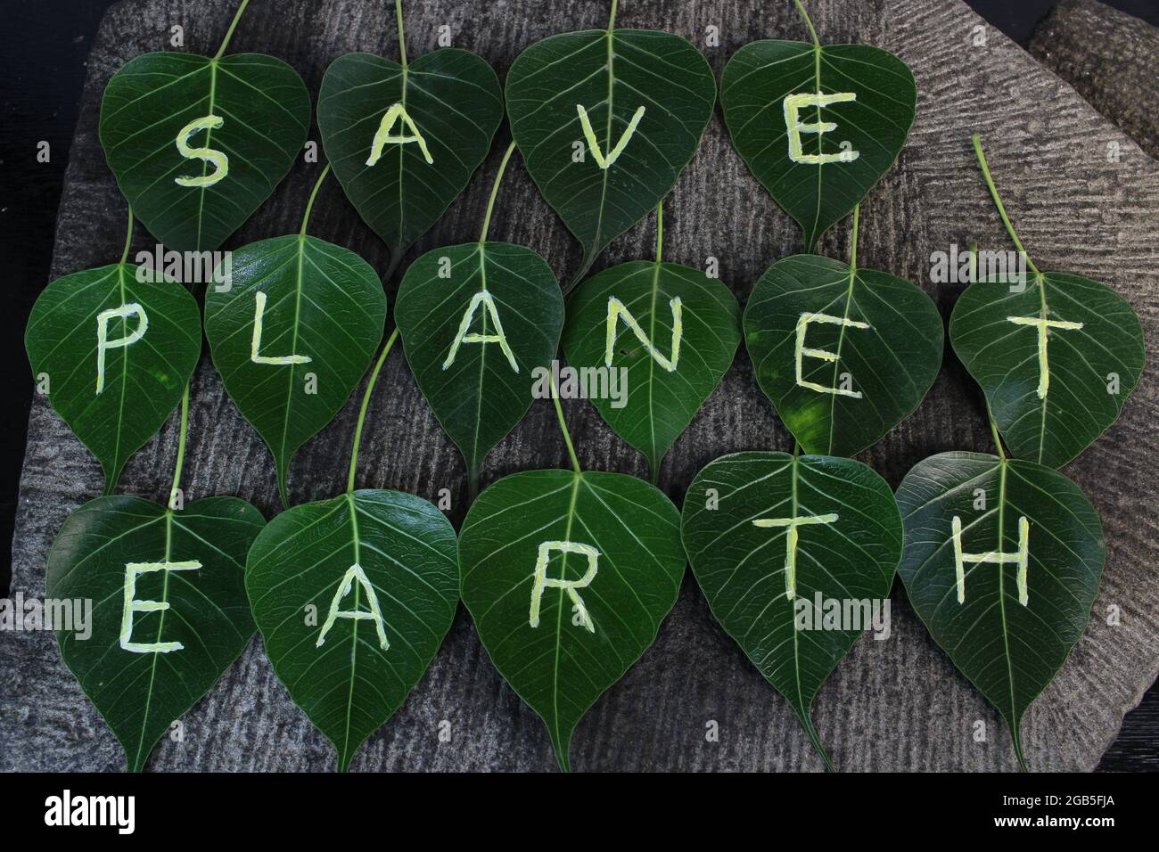 World environment day. World Earth day concept. Handprint as Green leaf ...