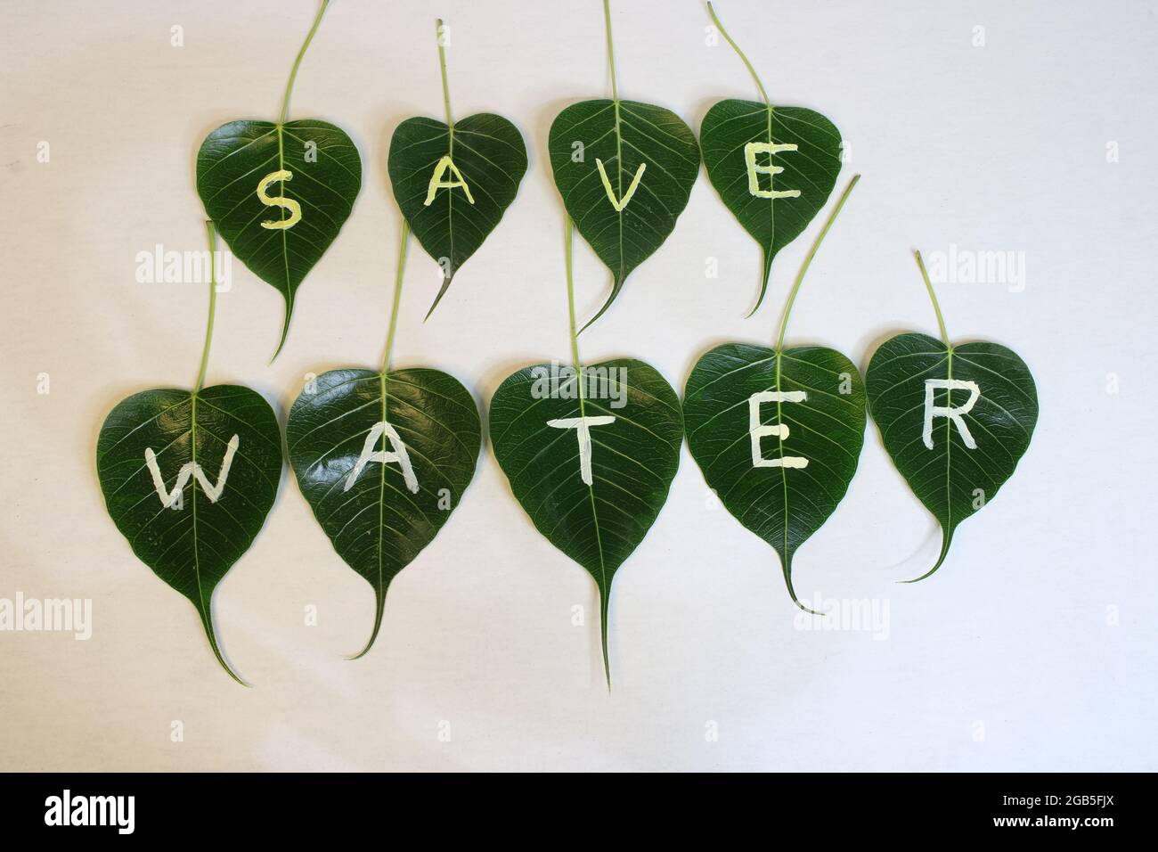 World environment day. World Earth day concept. Handprint as Green leaf ...