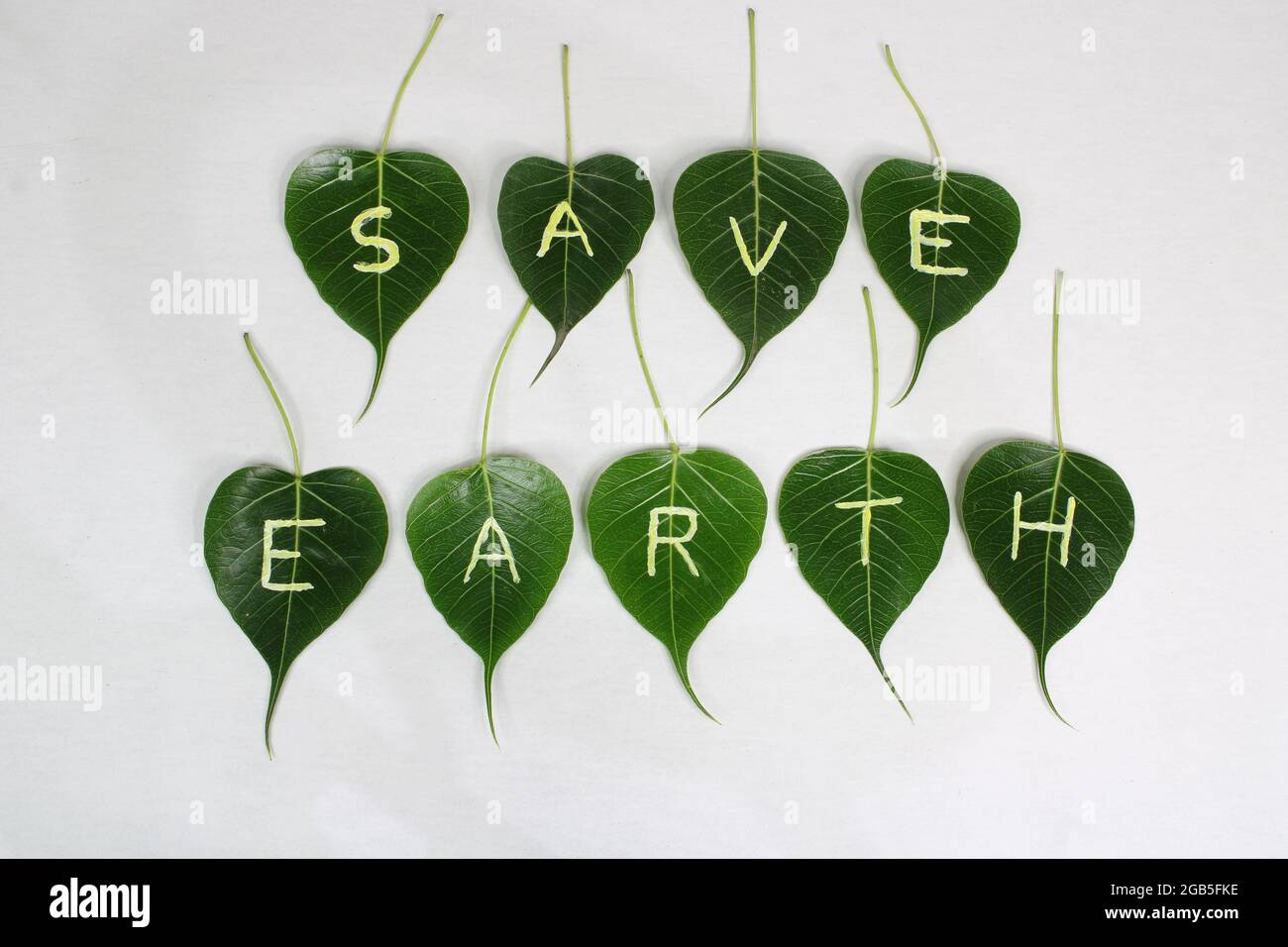 World environment day. World Earth day concept. Handprint as Green leaf ...