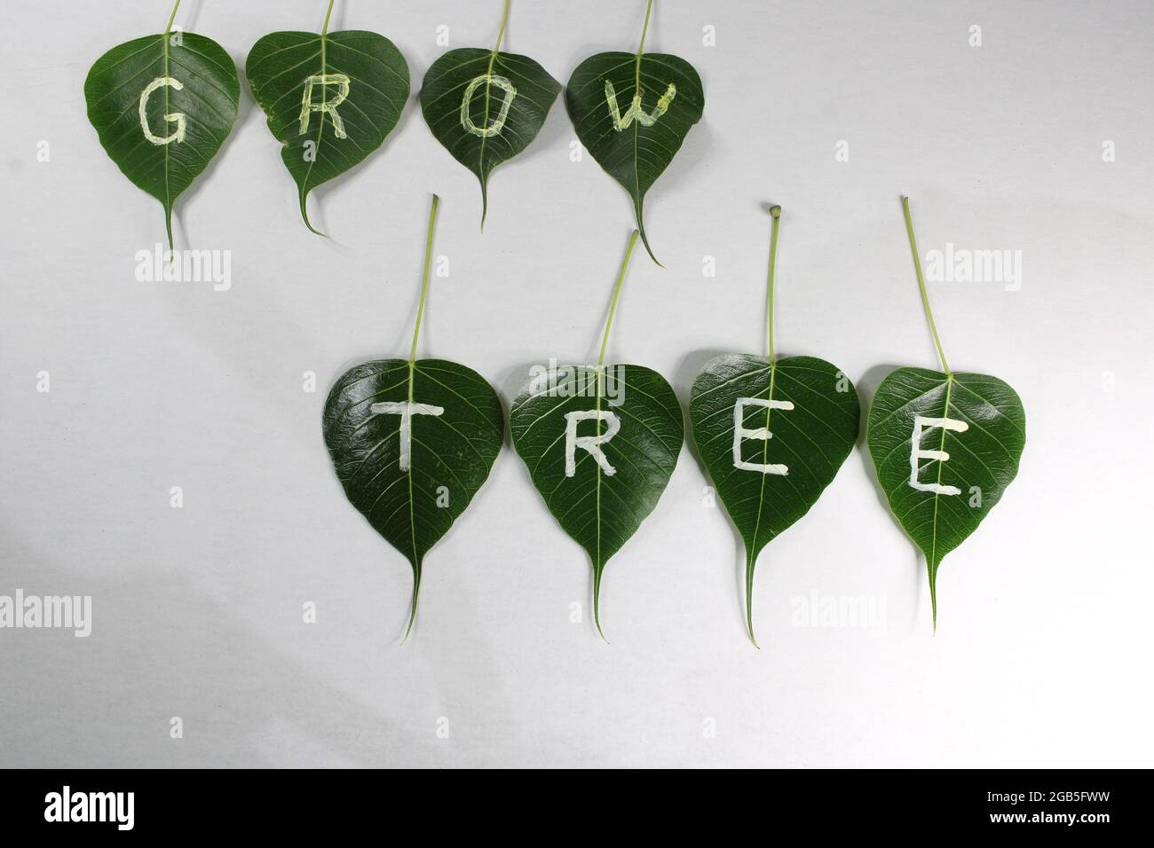 World environment day. World Earth day concept. Handprint as Green leaf ...