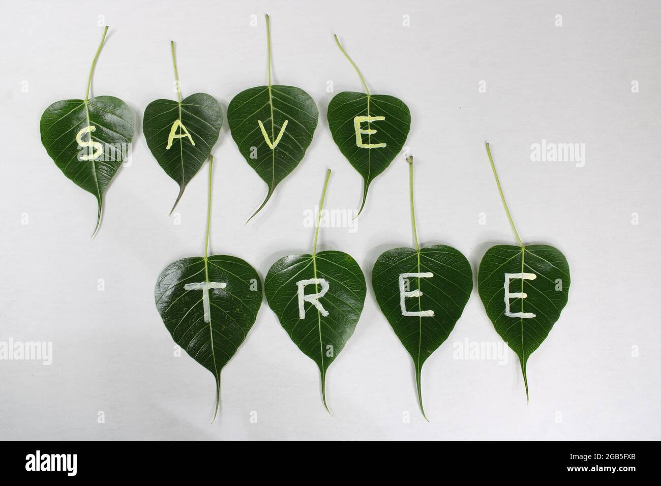 World environment day. World Earth day concept. Handprint as Green leaf ...