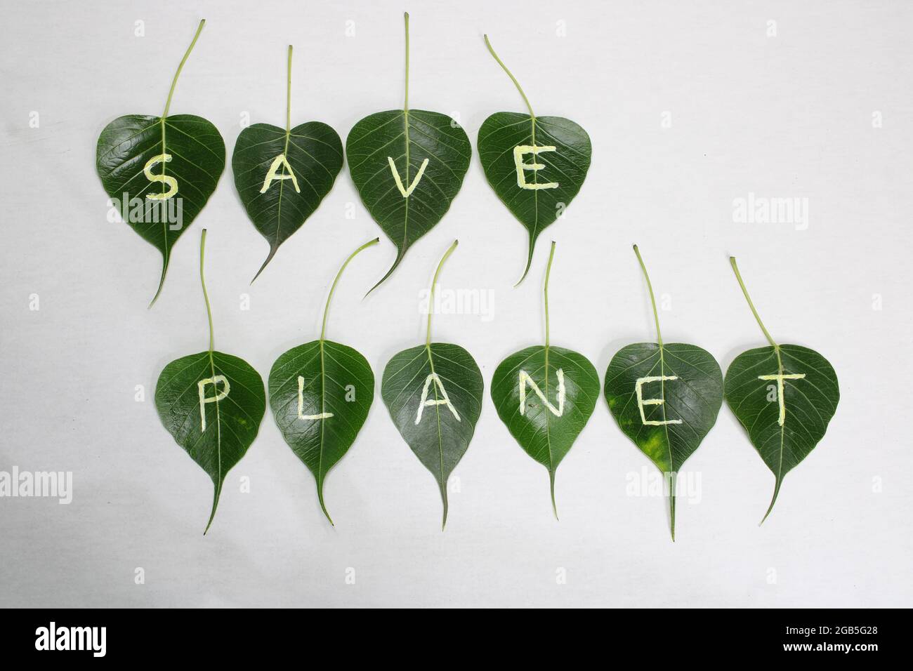 World environment day. World Earth day concept. Handprint as Green leaf ...