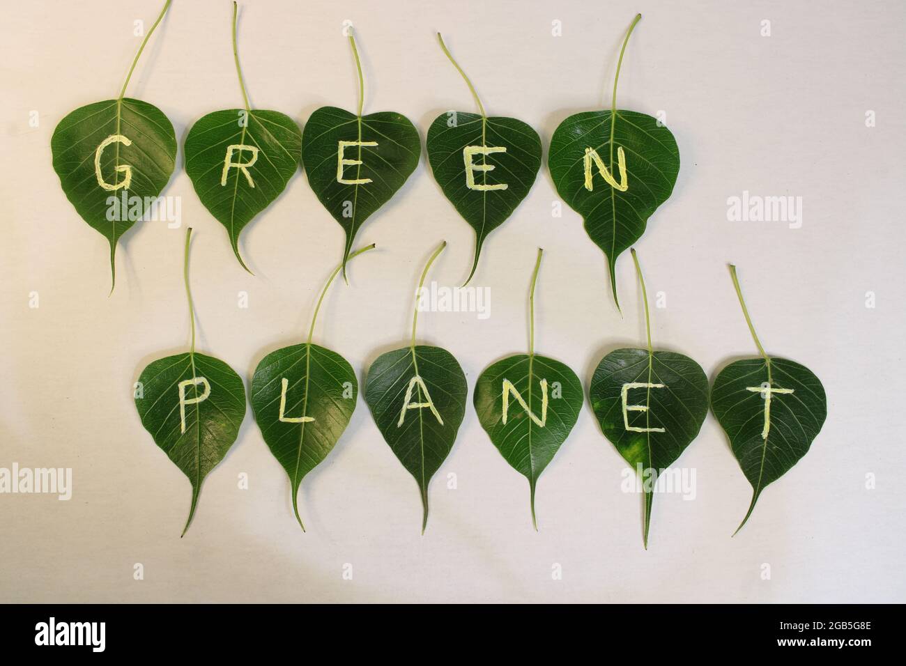 World environment day. World Earth day concept. Handprint as Green leaf ...