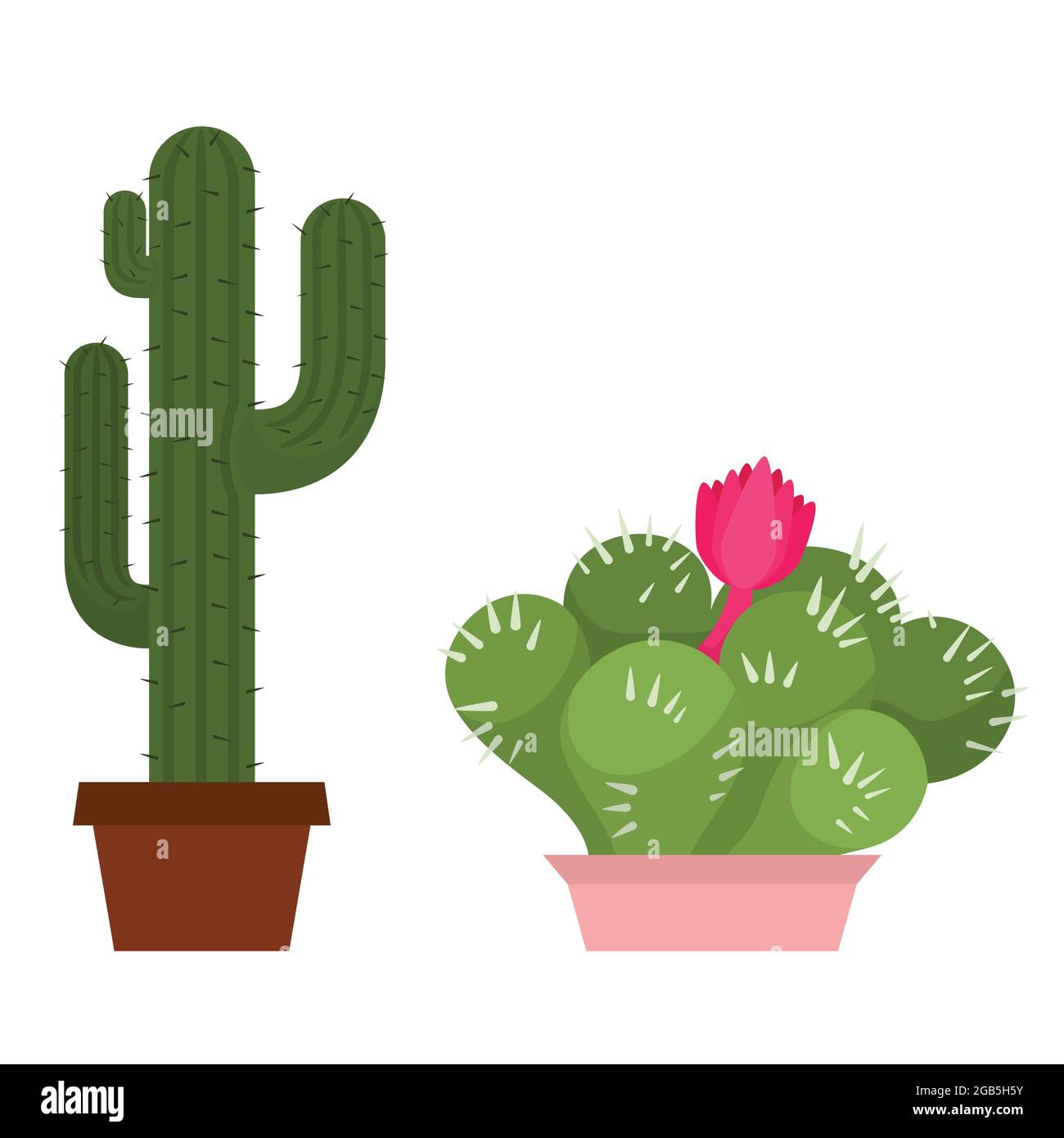 Exotic plants indoor garden Cut Out Stock Images & Pictures - Alamy