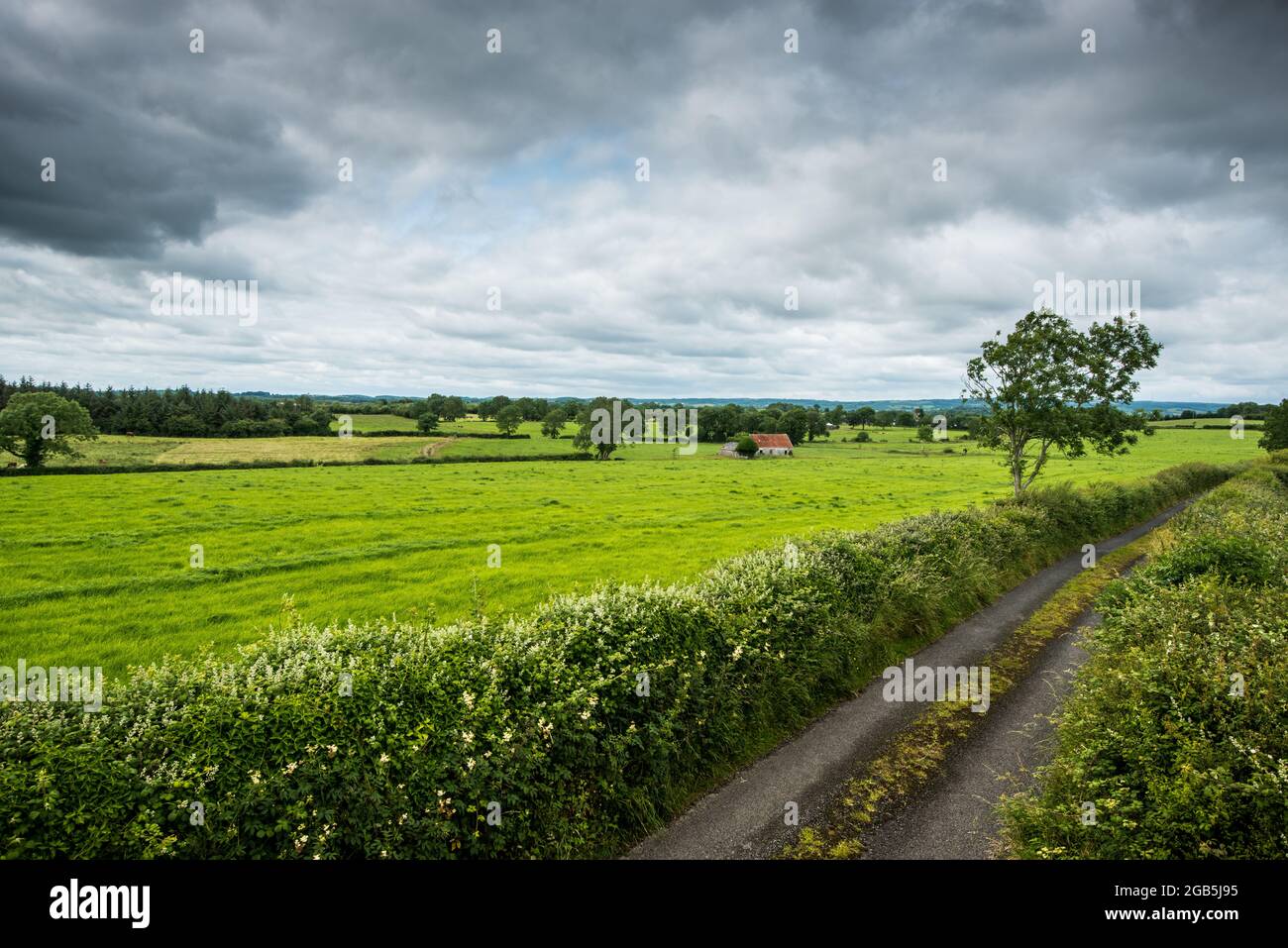 Country lane in County Clare, Ireland Stock Photo - Alamy