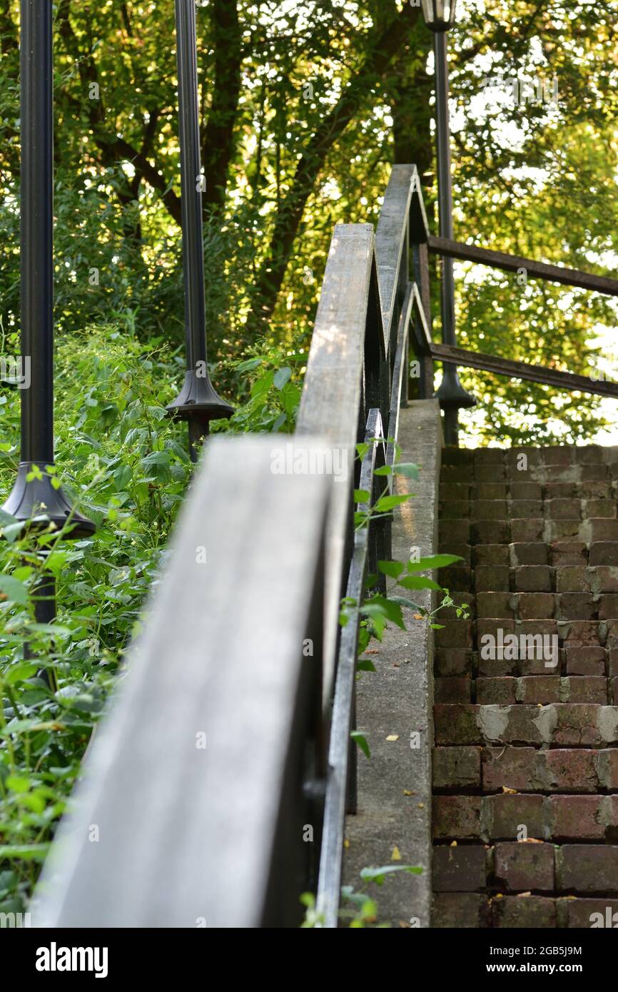 Railing by the stairs photographed against the sun. Trees Stock Photo ...