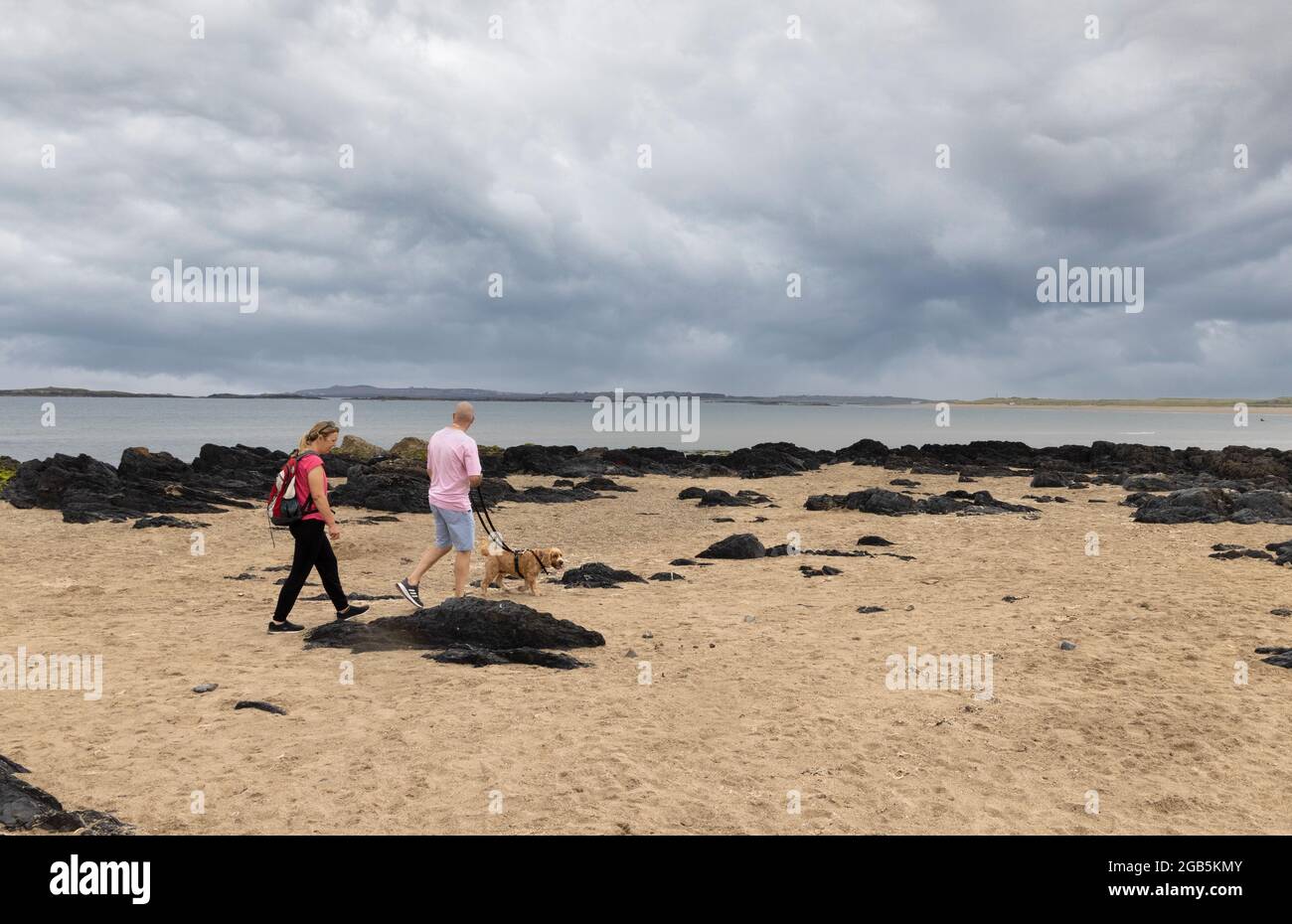 Walking a dog on the beach hi-res stock photography and images - Alamy
