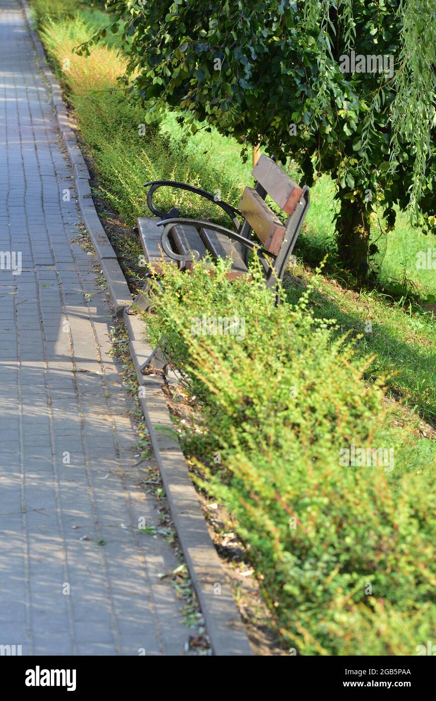 A bench by the path for walkers by the canal under the tree. Summer ...