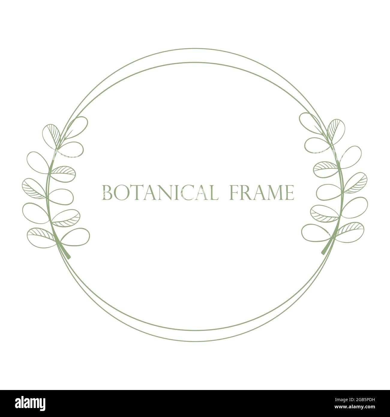 Simple botanical frame with leafy branches vector illustration Stock ...
