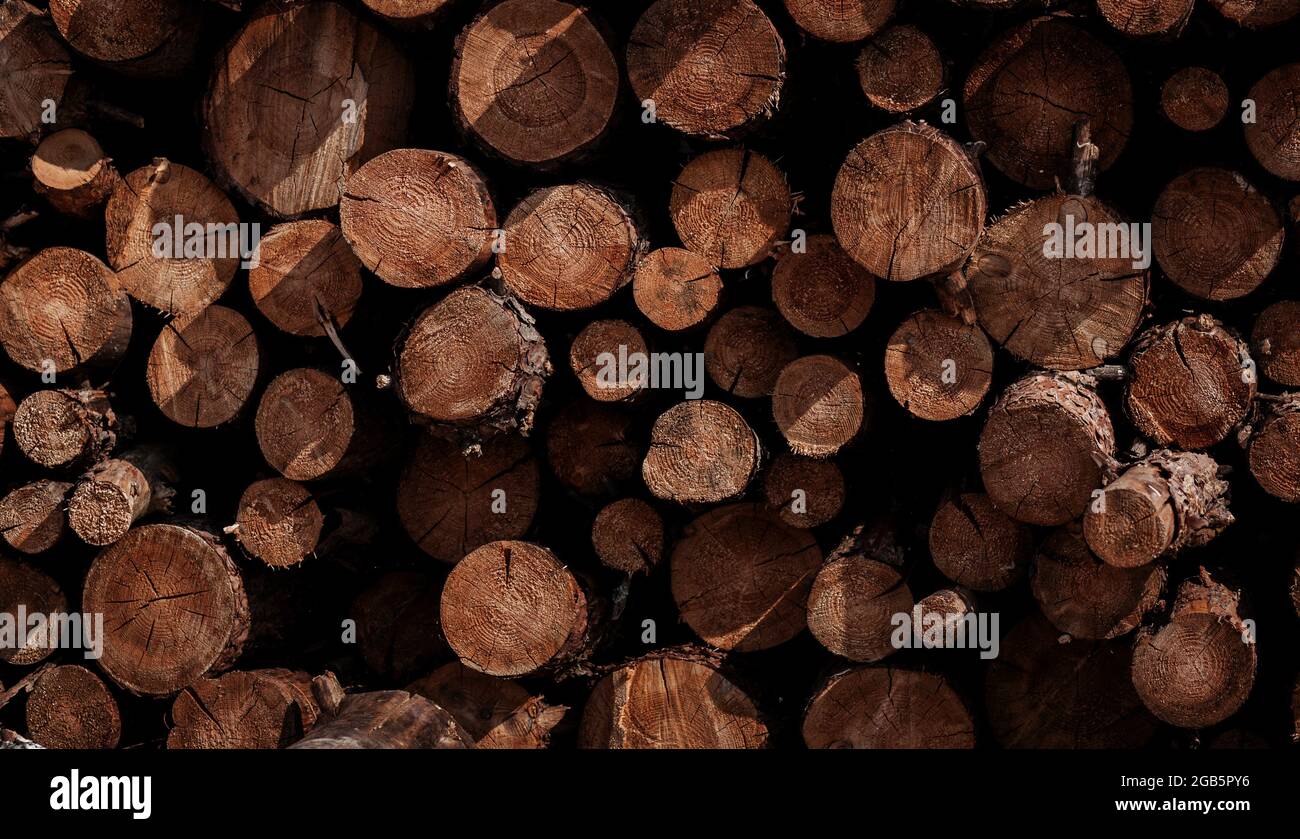 Pile of wooden logs stacked. Wall of stacked wood logs as background ...