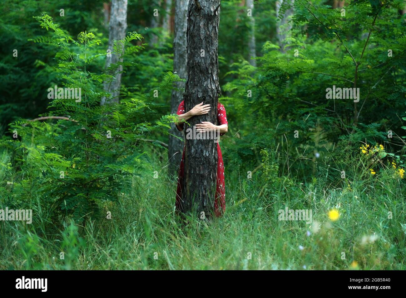 Save and Plant Trees, Save Earth and Nature, Stand For Trees, Save ...