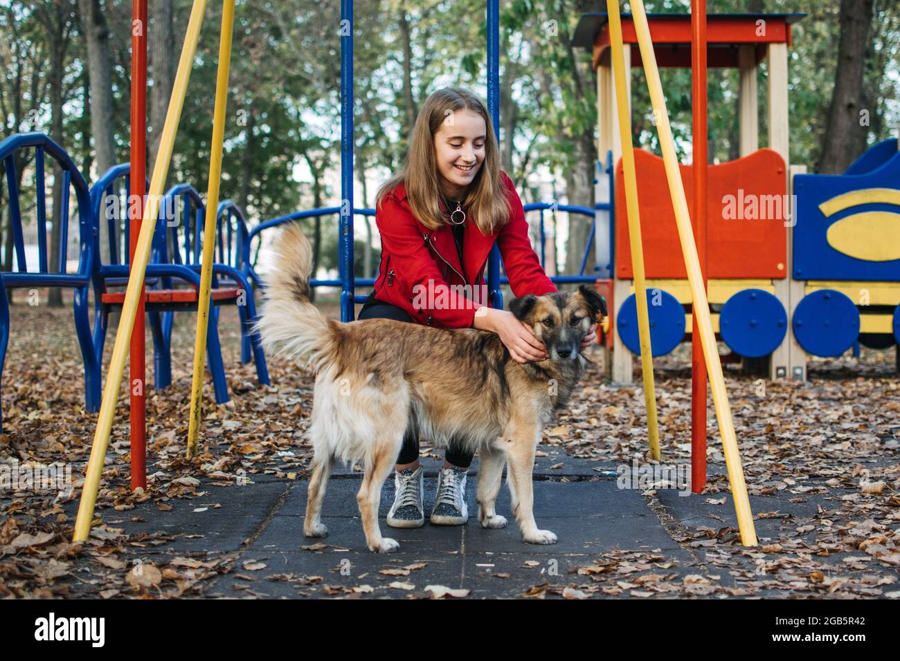 Volunteering, help charity teen woman with dog rescue. Teen girl and ...