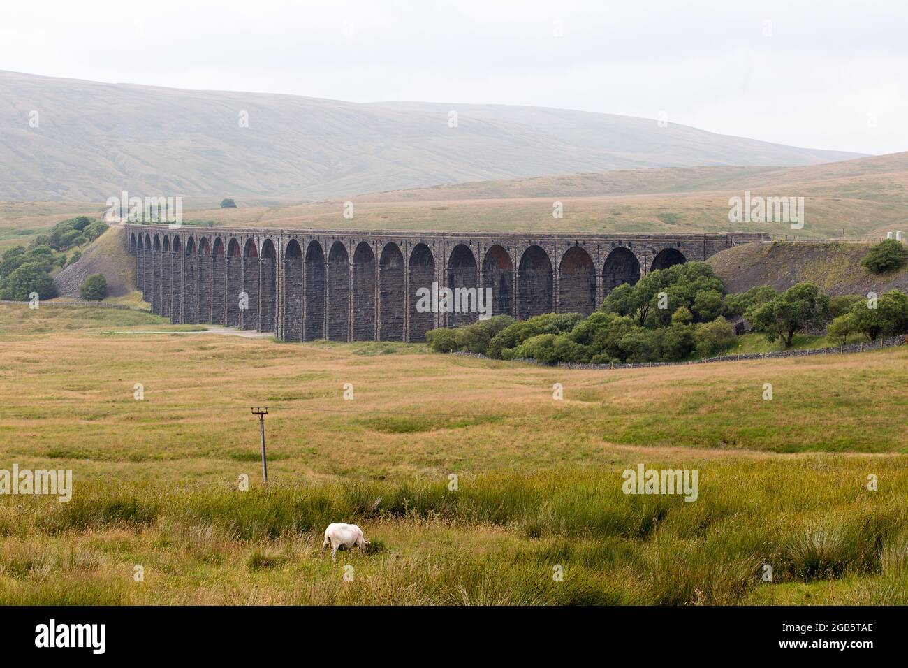 Ribblehead Viaduct railway line Stock Photo - Alamy