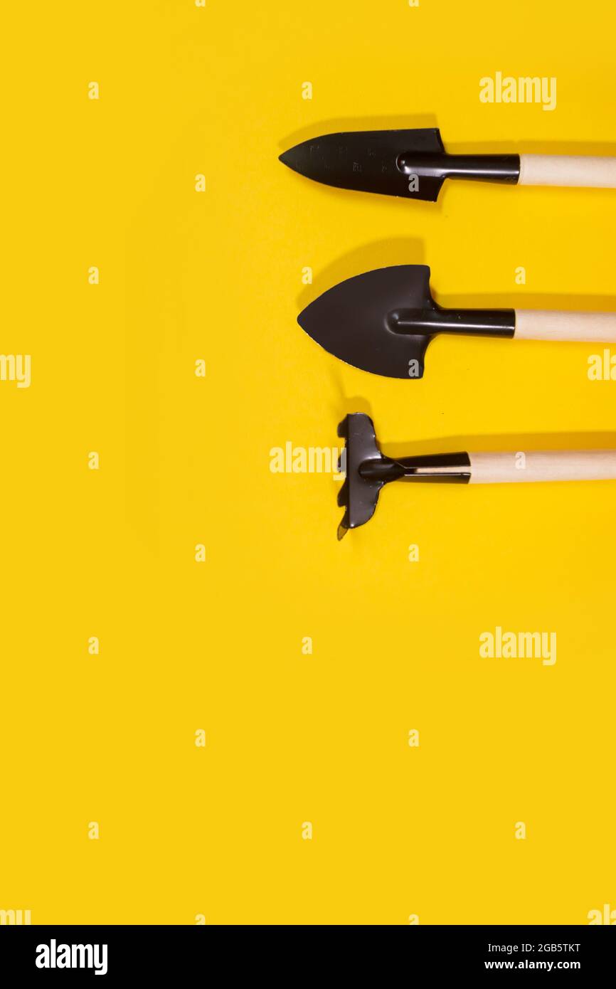Gardening tools on yellow background Stock Photo - Alamy