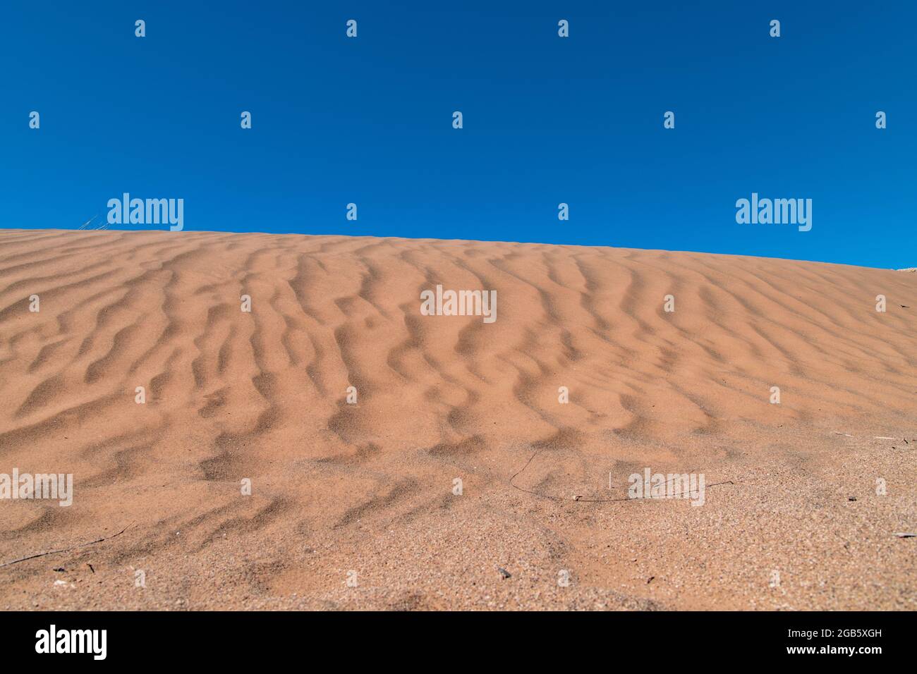 View of sandy landscapes in the Sahara desert, Morocco Stock Photo - Alamy