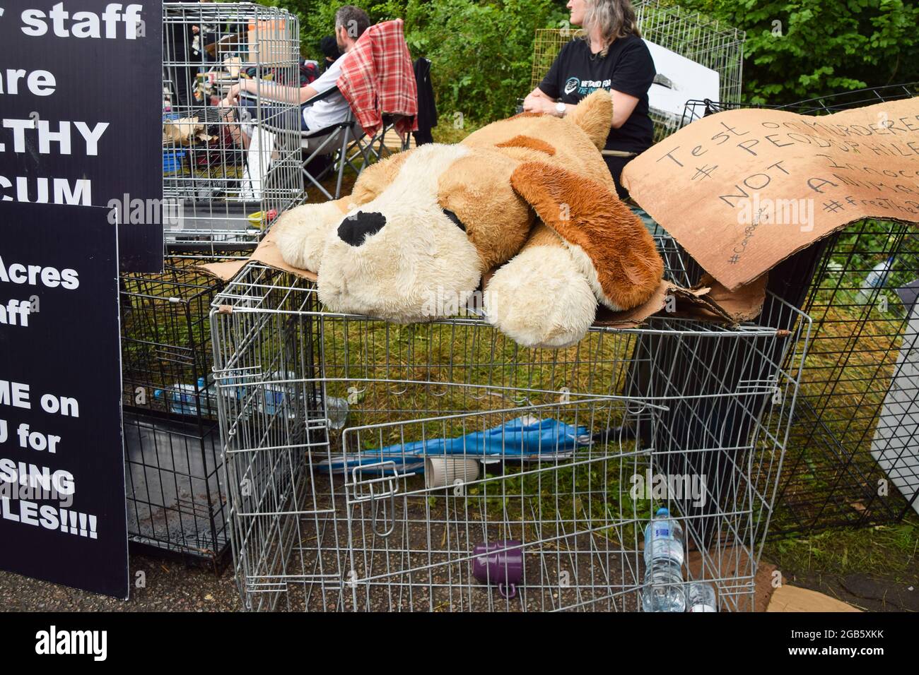 Huntingdon, United Kingdom. 1st August 2021. Animal welfare activists ...