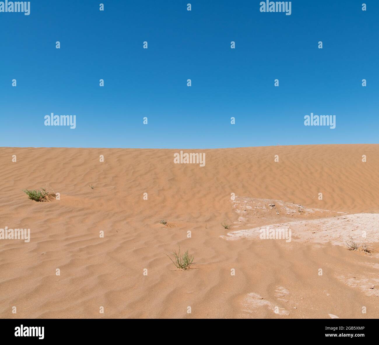 Sand landscapes of the Sahara desert in Morocco Stock Photo - Alamy