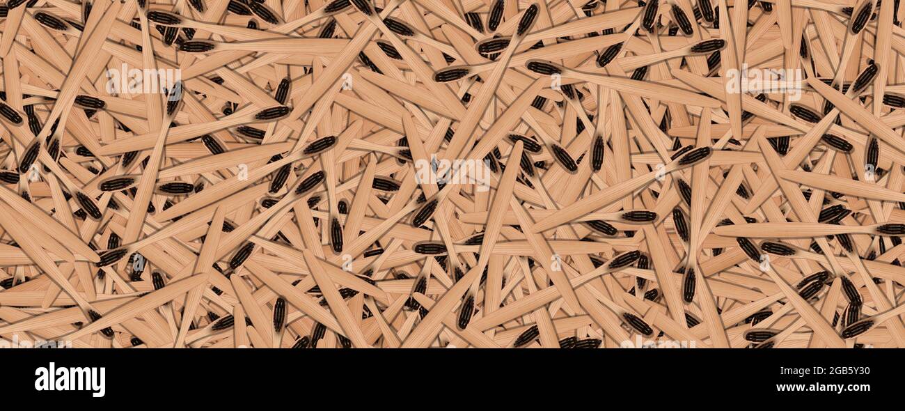 Texture of wooden toothbrushes with black bristles Stock Photo - Alamy