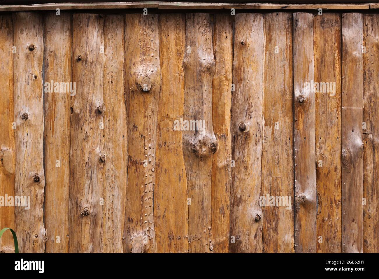 Wooden fence with smooth surface and large number knots Stock Photo - Alamy