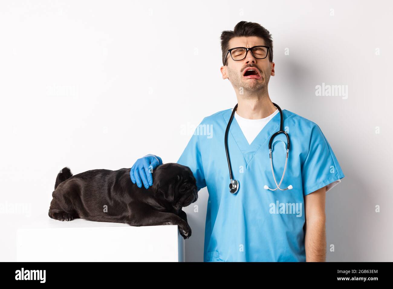 Sad male doctor filling pity for cute black dog pug lying sick on vet ...