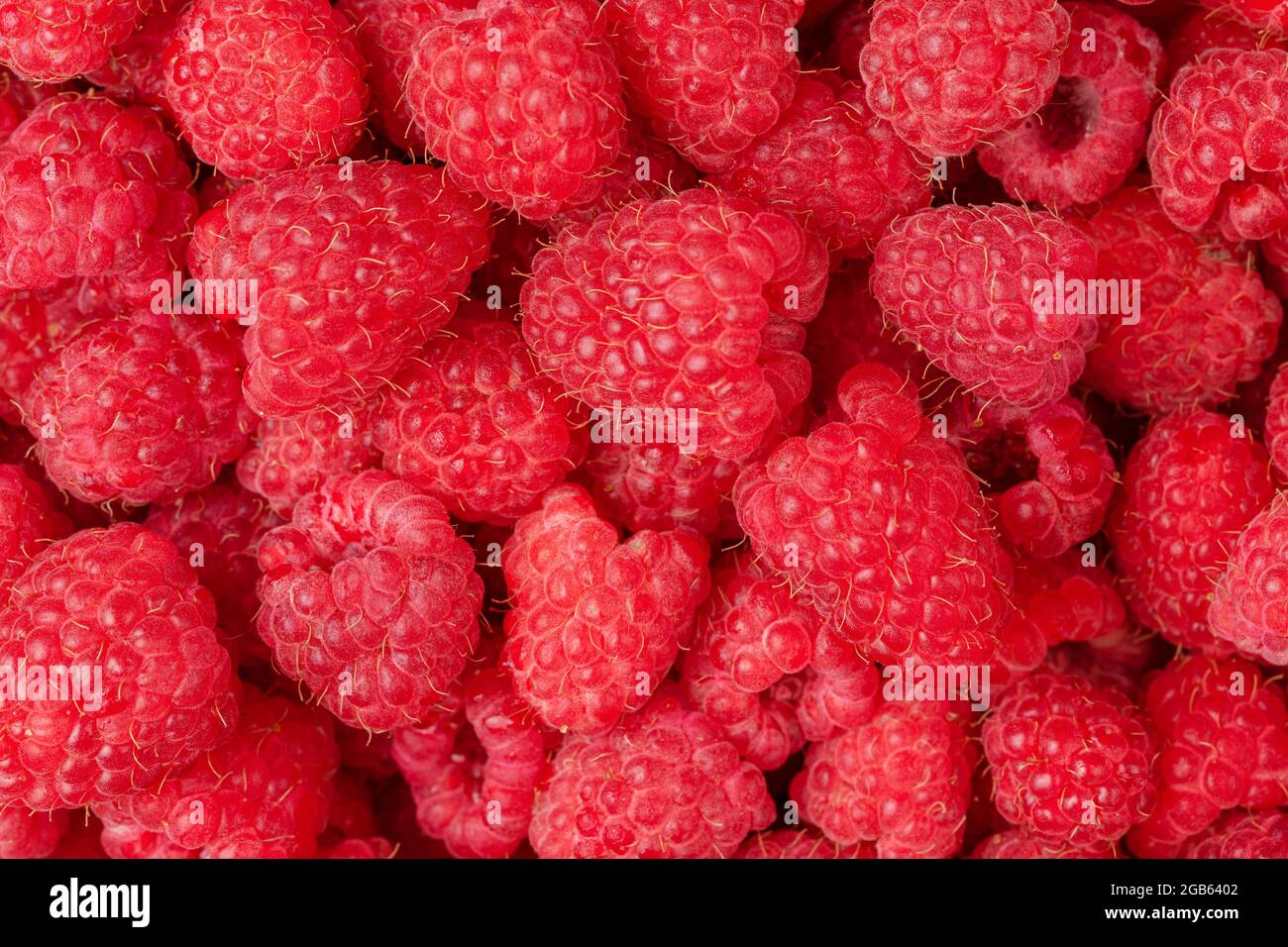 Red raspberry background. Top view, overhead Stock Photo - Alamy